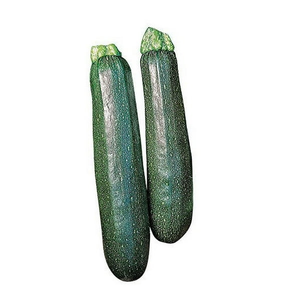 Burpee Sure Thing Zucchini Summer Squash Seeds 25 seeds - Walmart.com