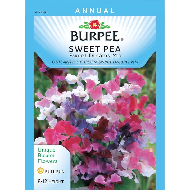 Burpee-Sweet Pea, Sweet Dreams Mix Seed Packet - Walmart Business Supplies