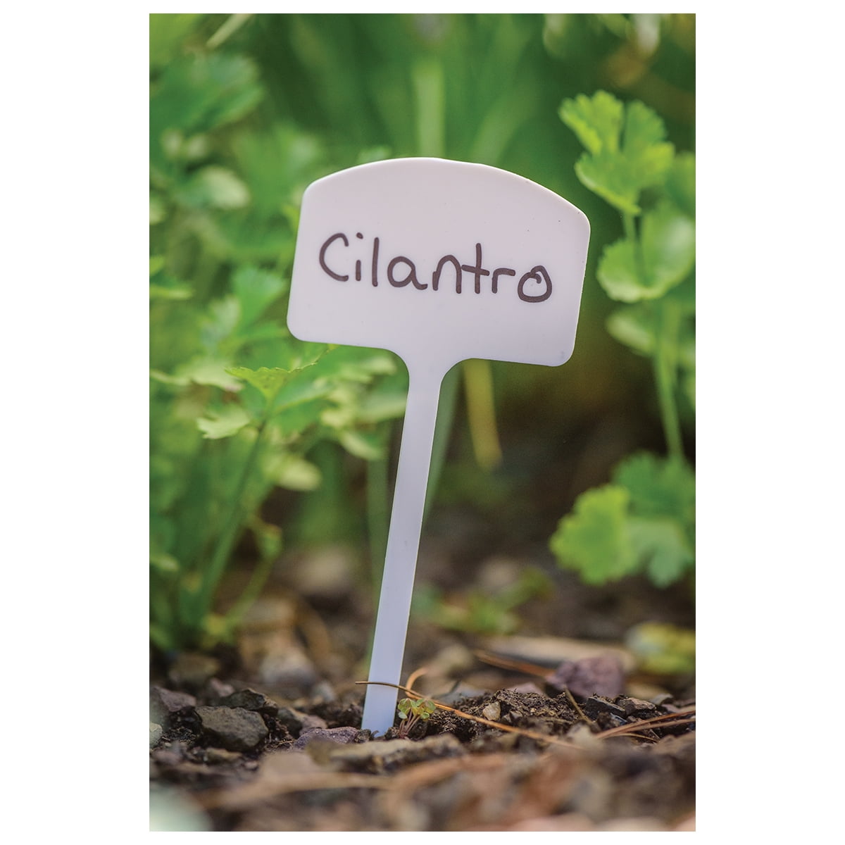 Burpee T-Stakes (10/pk) with Burpee Marking Pen - Walmart.com