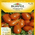 Burpee-Tomato, Roma Seed Packet - Walmart.com
