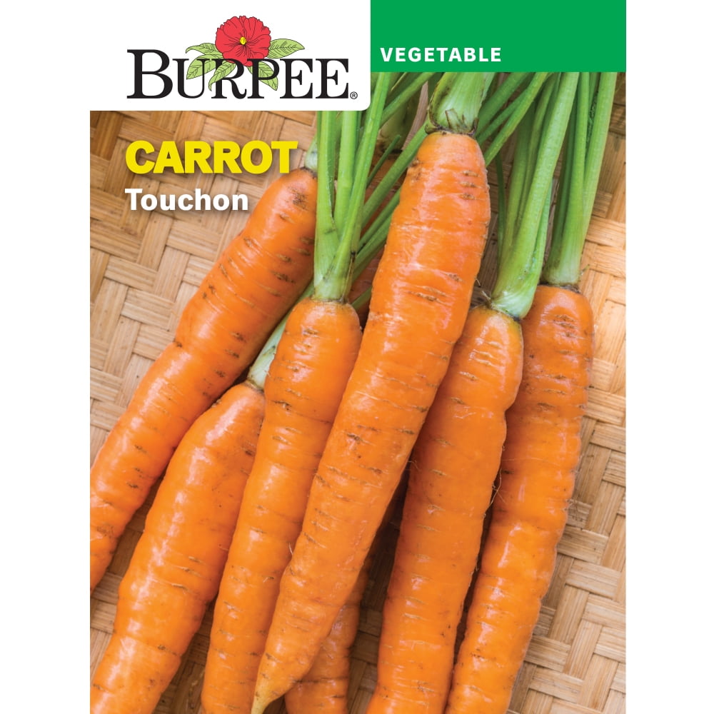 Burpee Touchon Carrot Seed, Annual Vegetable, Full Sun - Walmart.com