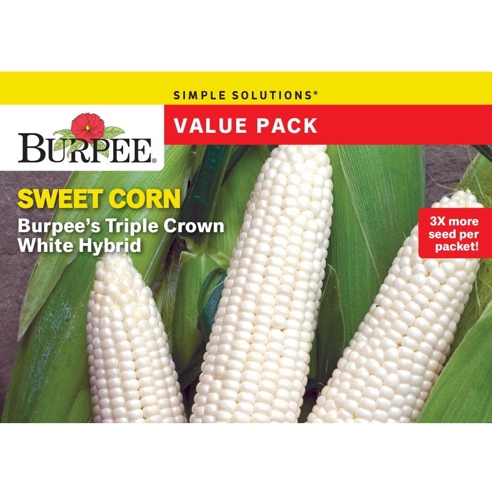 Burpee Triple Crown White Hybrid Sweet Corn Vegetable Seed Value Pack ...