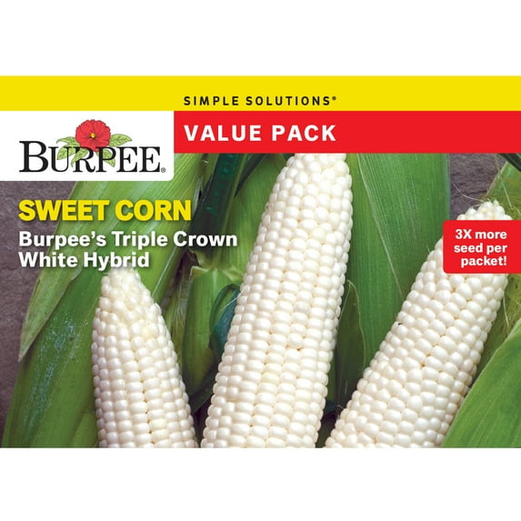 Burpee Triple Crown White Hybrid Sweet Corn Vegetable Seed Value Pack ...