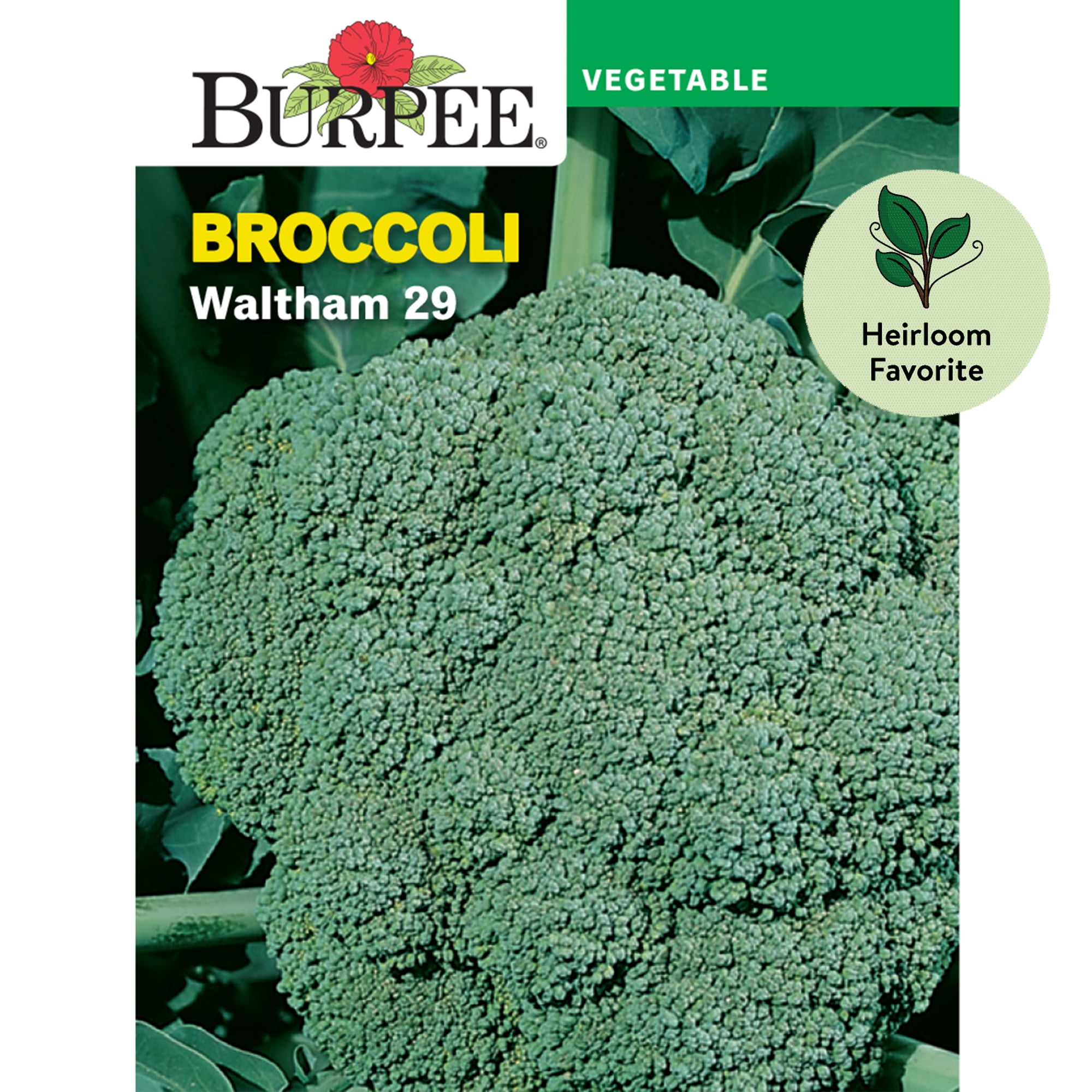 Burpee Waltham 29 Broccoli Vegetable Seed, Annual Lifecycle, Full Sun ...
