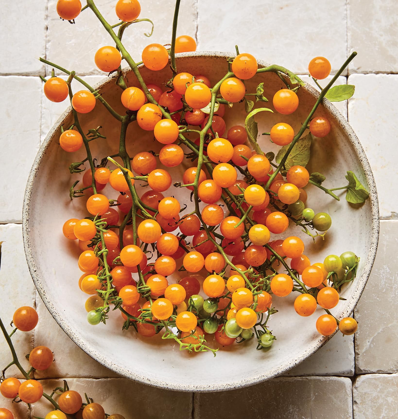 Fruit Plants Seeds Currant Bulbs