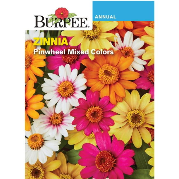 Burpee-Zinnia, Pinwheel Mix Seed Packet - Walmart Business Supplies