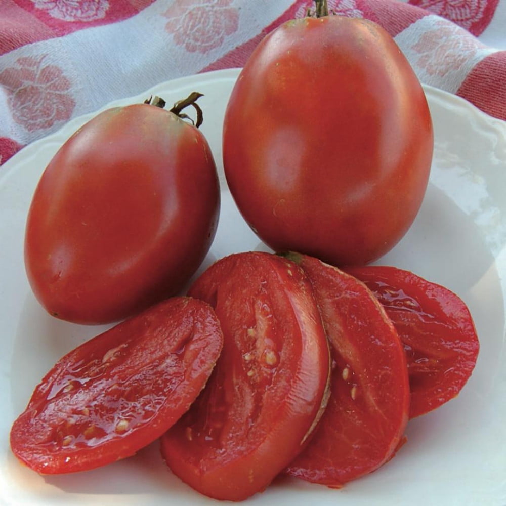 Burpees Gladiator Roma Tomato Plant - 3.5" Pot - Excellent Flavor ...