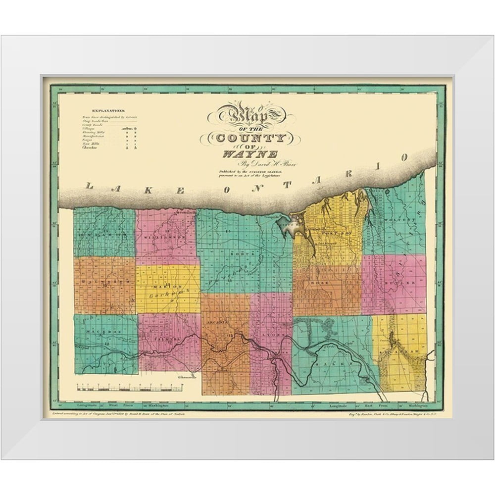 Burr 17x15 White Modern Wood Framed Museum Art Print Titled - Wayne New ...
