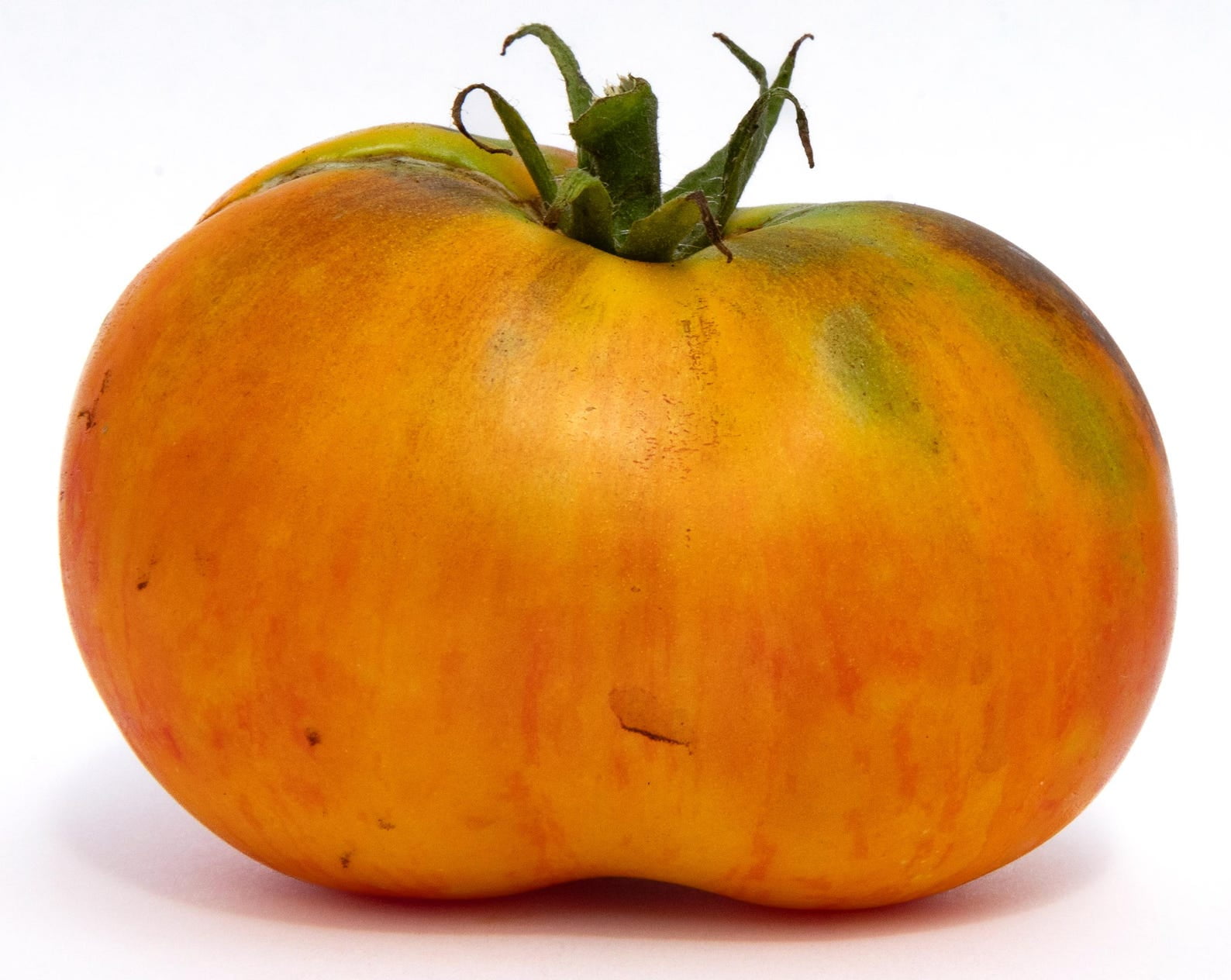Burracker's Favorite Blue Ridge Mountain Heirloom Tomato Premium Seeds ...