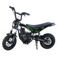 Burromax TT350R Electric Mini Bike, 350w, 24v, 2 Speeds, 17 mph, Green ...