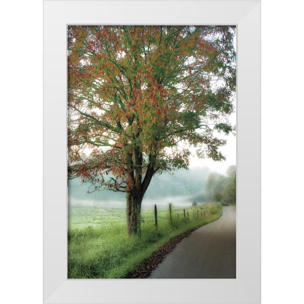 Burt, D. 17x24 White Modern Wood Framed Museum Art Print Titled ...