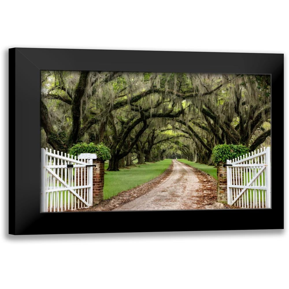 Burt, Daniel 14x11 Black Modern Framed Museum Art Print Titled ...