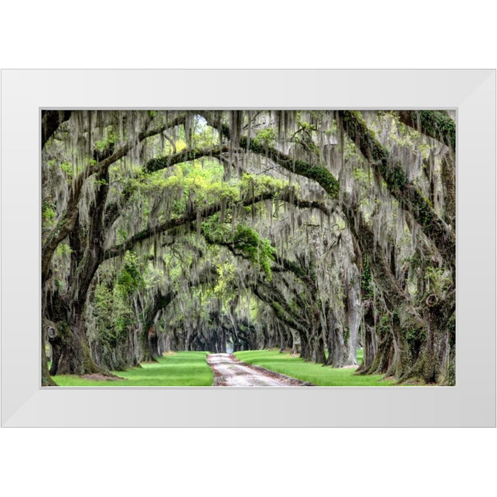 Burt, Daniel 14x11 White Modern Wood Framed Museum Art Print Titled ...