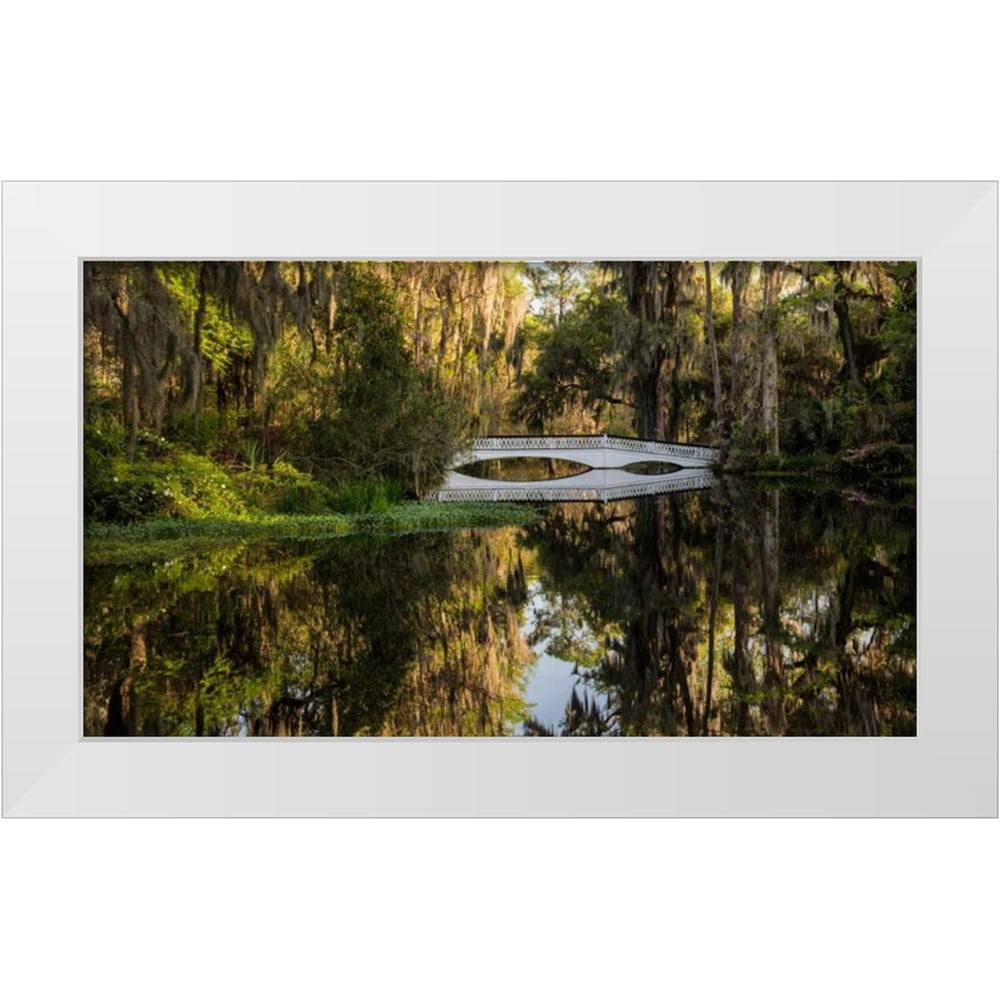 Burt, Daniel 32x20 White Modern Wood Framed Museum Art Print Titled ...