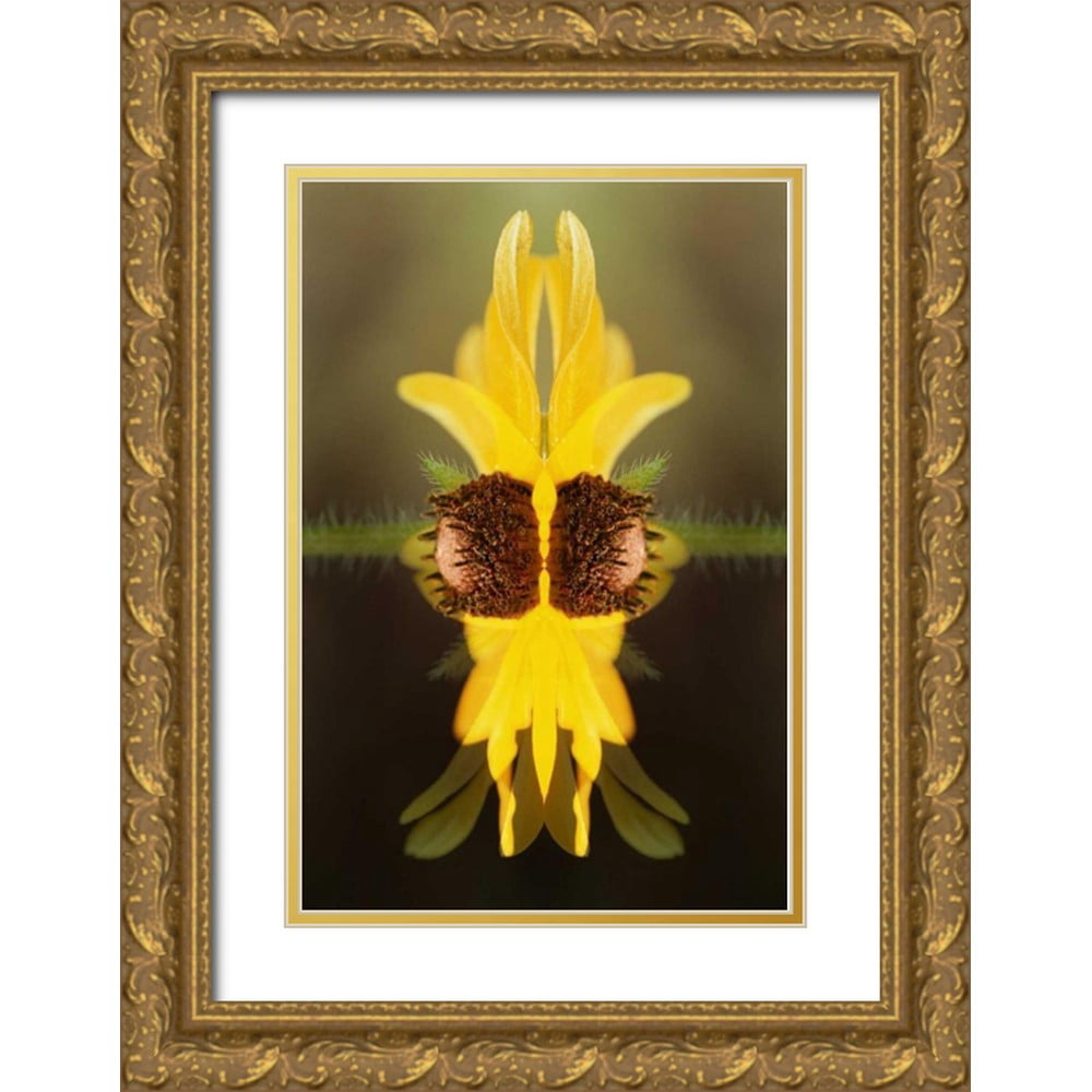 Bush, Marie 17x24 Gold Ornate Wood Framed with Double Matting Museum ...