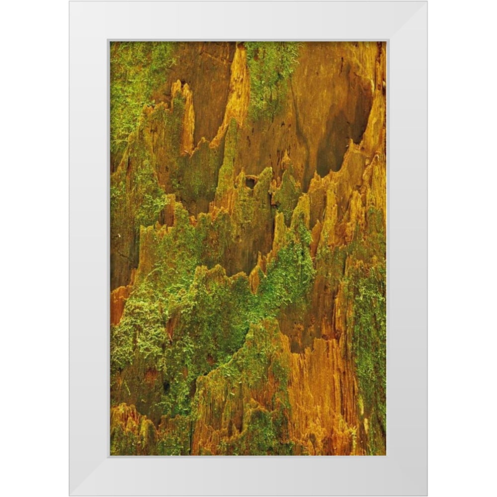 Bush, Marie 17x24 White Modern Wood Framed Museum Art Print Titled ...