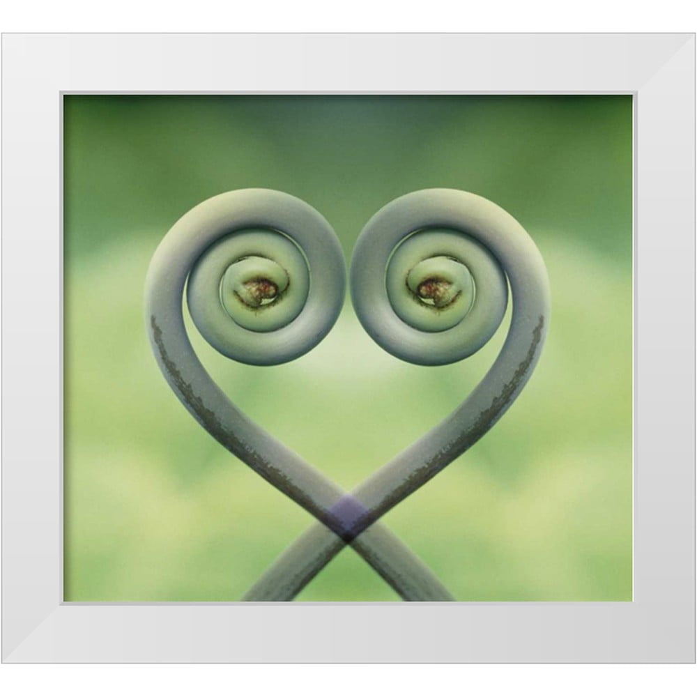 Bush, Marie 29x26 White Modern Wood Framed Museum Art Print Titled ...