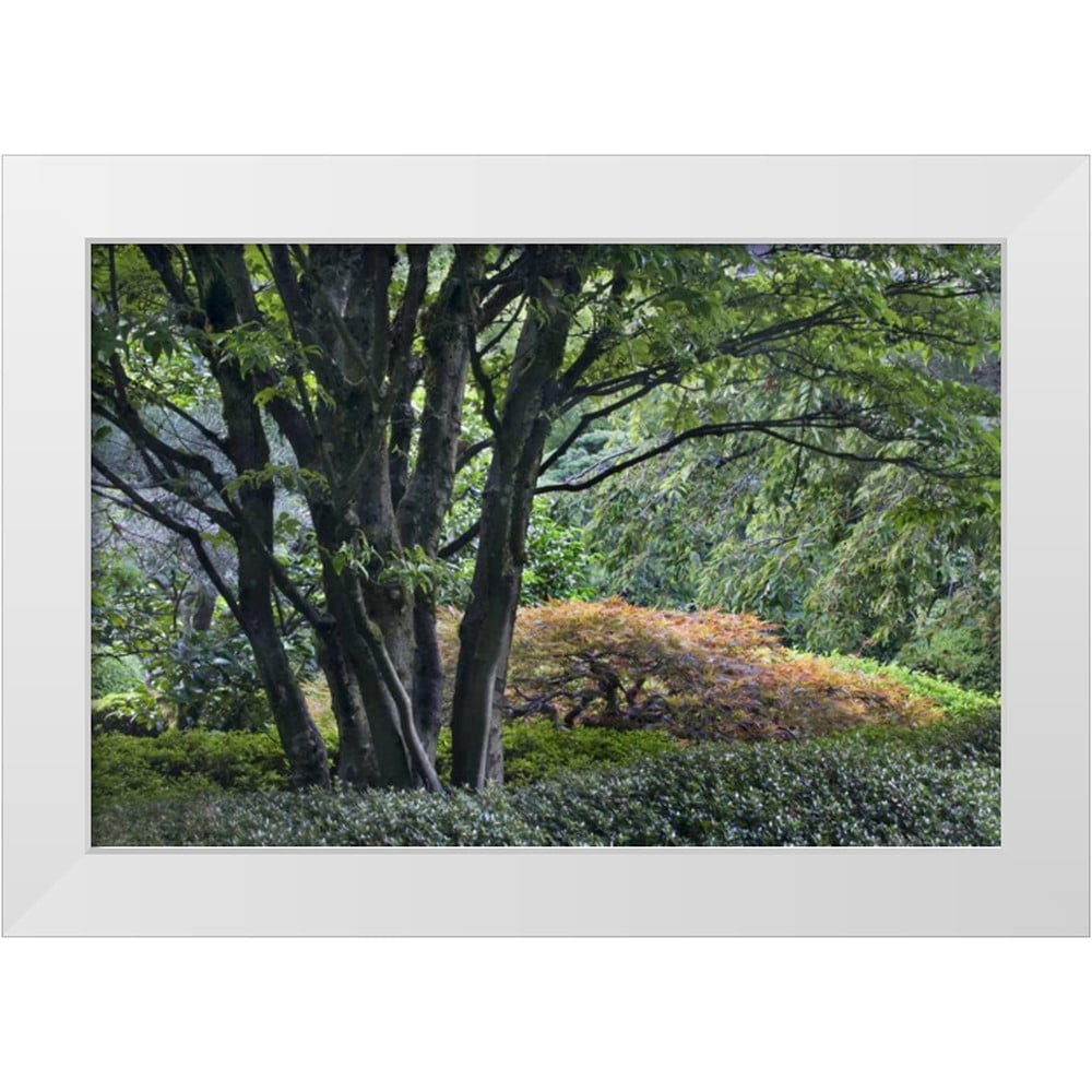 Bush, Marie 32x23 White Modern Wood Framed Museum Art Print Titled ...