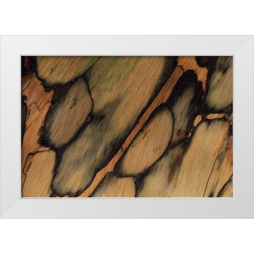 Bush, Marie 32x23 White Modern Wood Framed Museum Art Print Titled ...