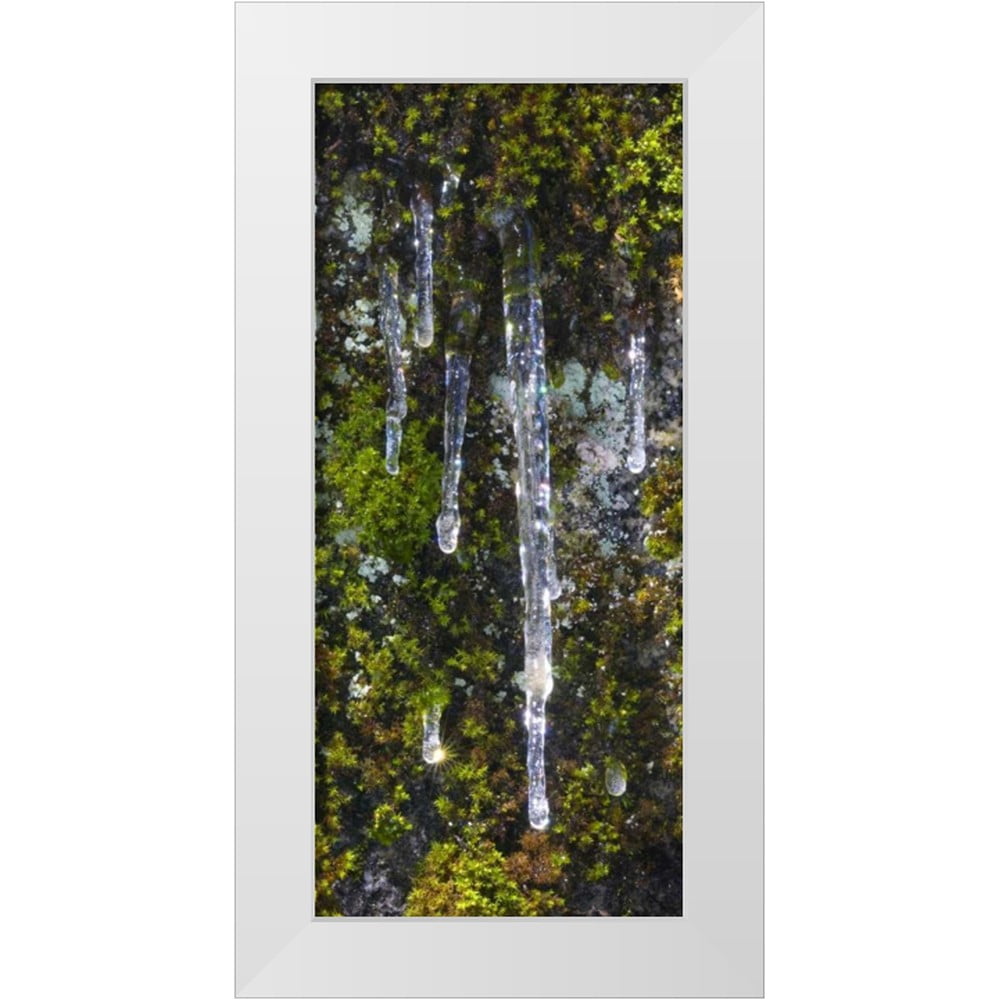 Bush, Marie 8x14 White Modern Wood Framed Museum Art Print Titled - USA, California, Yosemite NP ...
