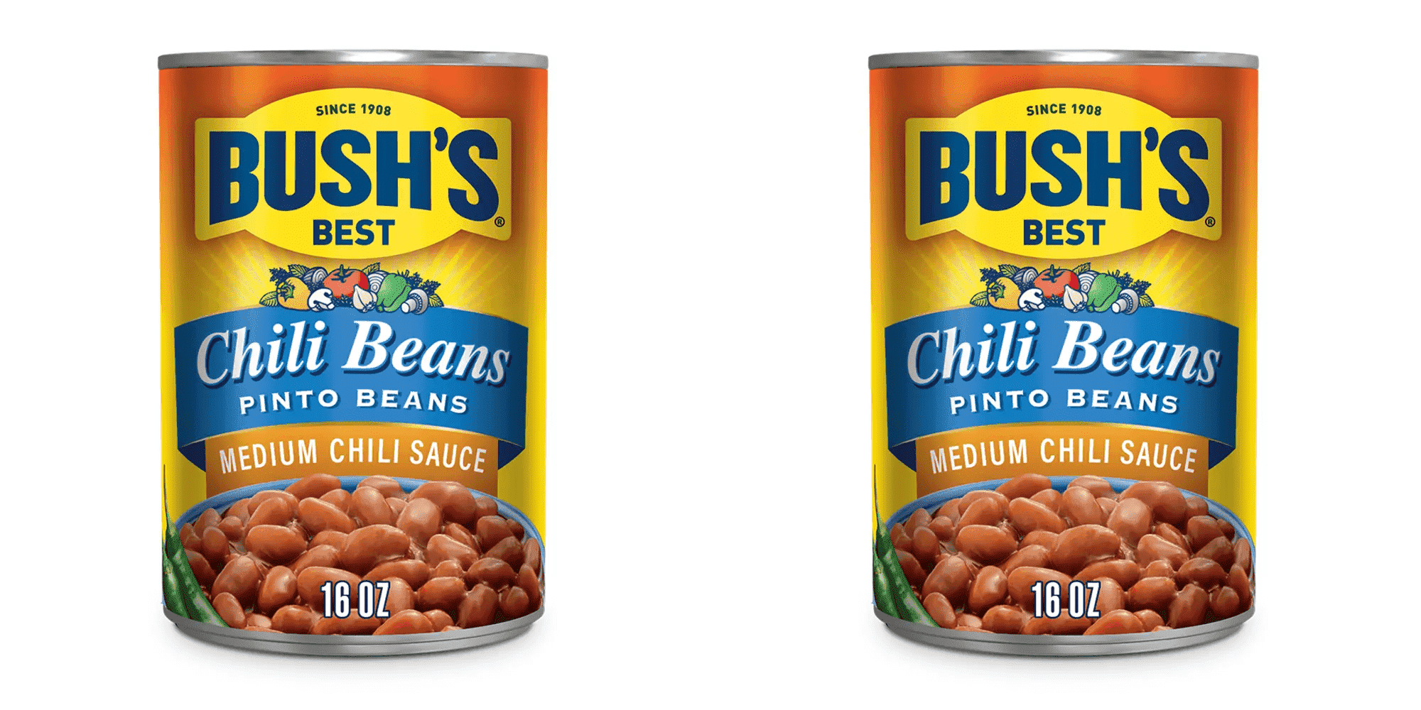 Bush's Best Pinto Beans in a Medium Chili Sauce 16 oz Pack of 2 ...