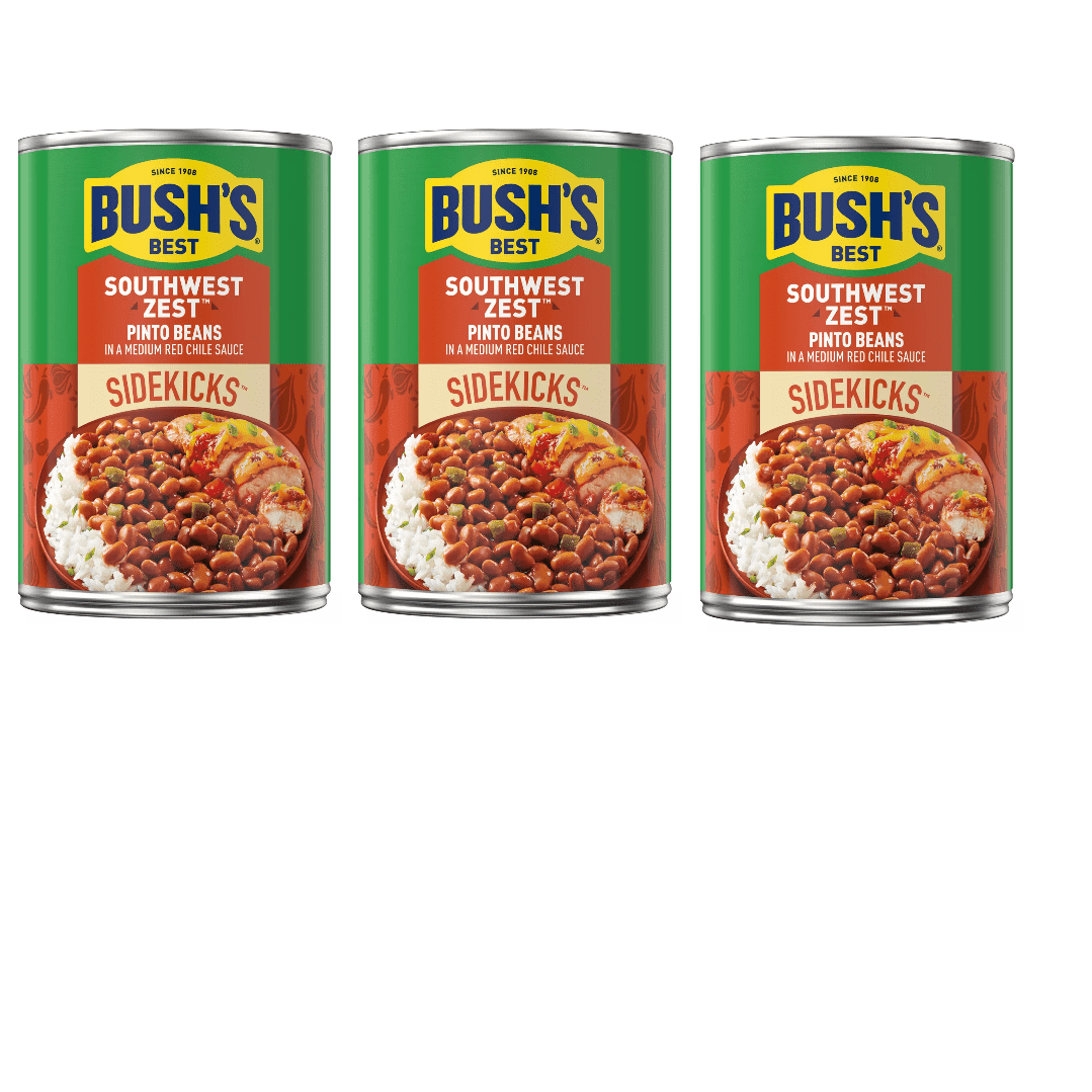 Bush's Best Sidekicks Slow-Cooked n' Savory Pinto Beans, 15 oz pack of ...