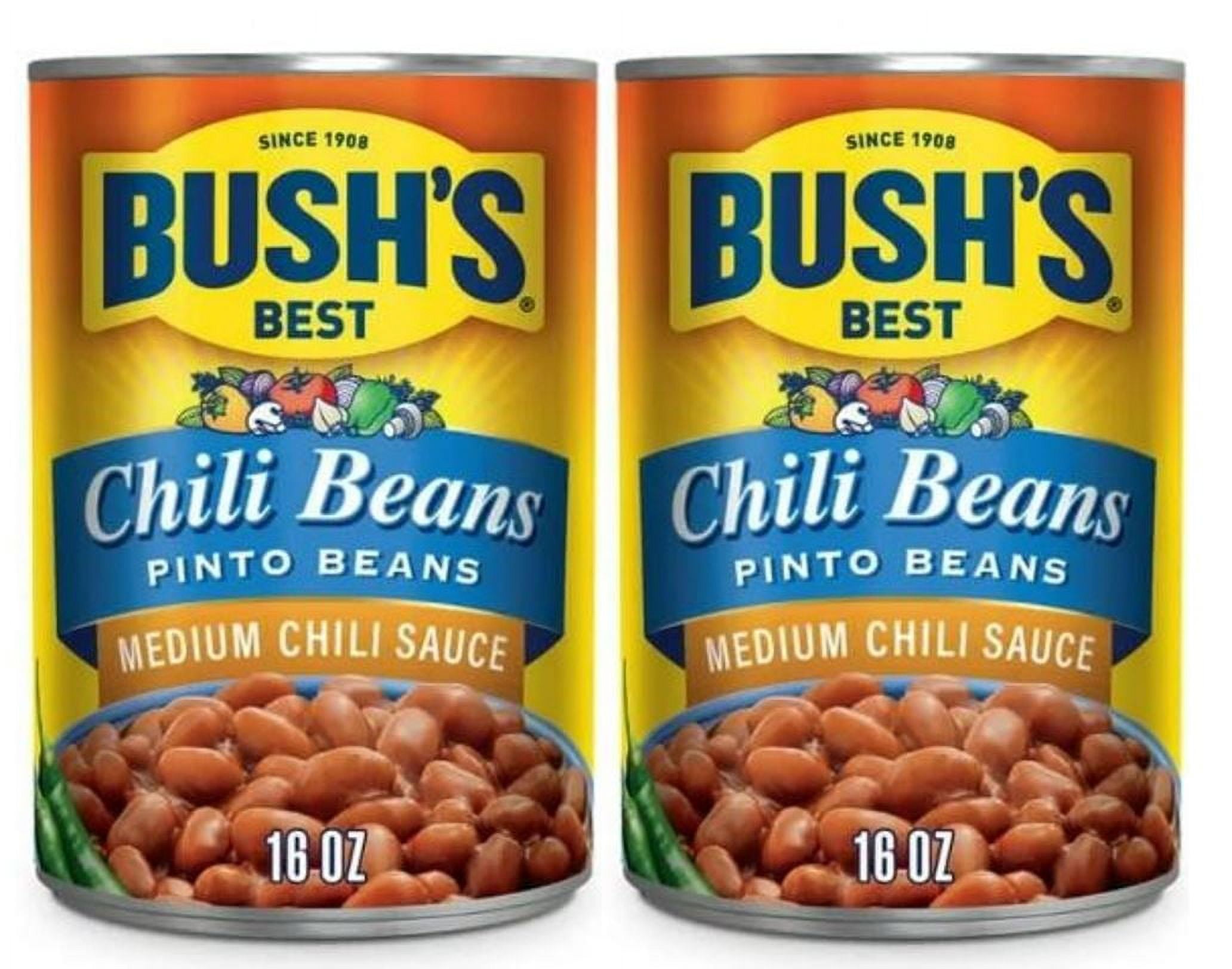 Bush's Chili Beans Pinto Beans in Medium Chili Sauce, 16 oz Canned ...