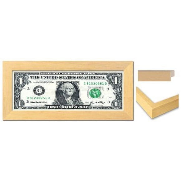 Dollar Bill Frame