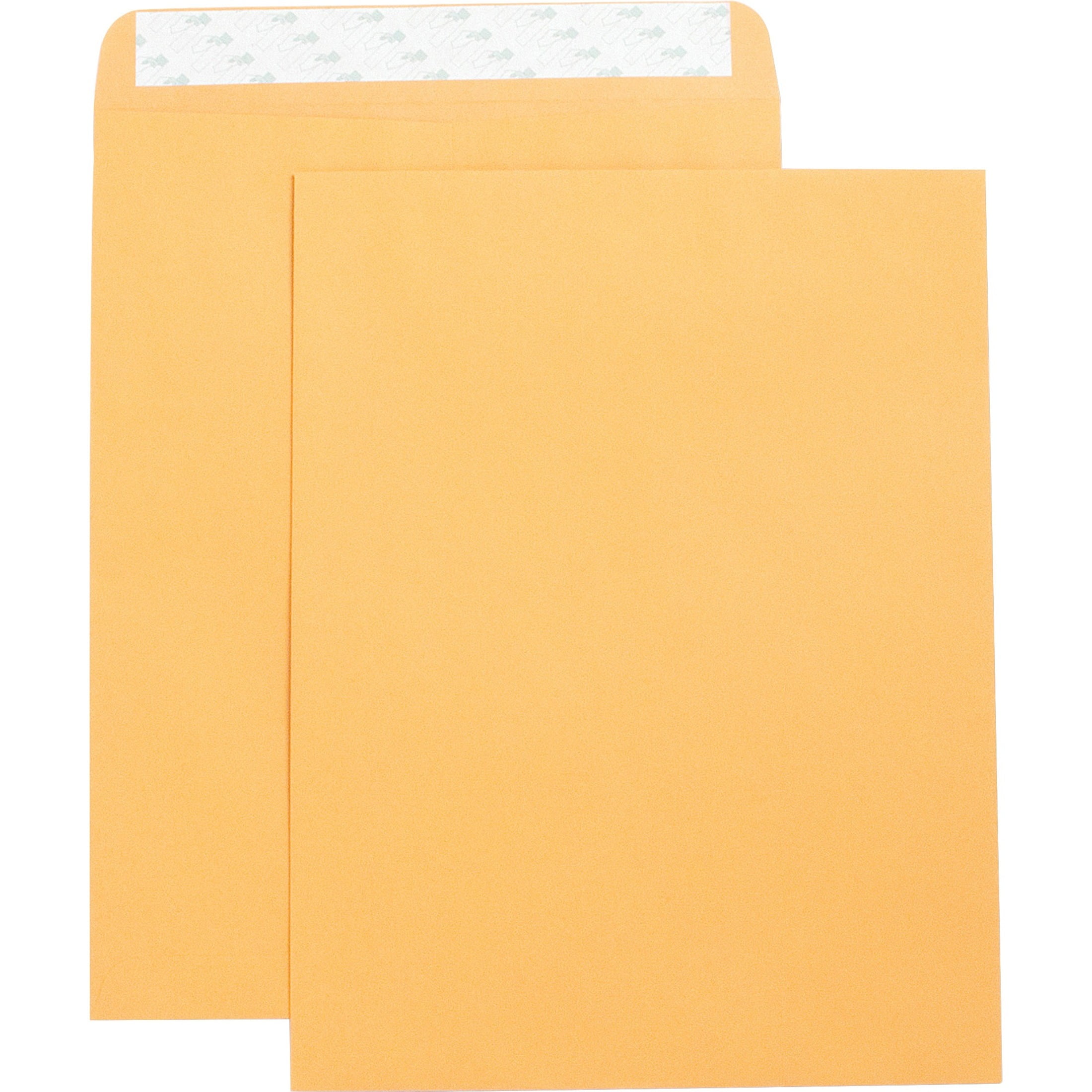 Business Source, BSN42121, Self Adhesive Kraft Catalog Envelopes, 250 ...