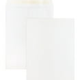 Business Source, BSN65451, Self Sealing Catalog Envelopes, 100 / Box ...