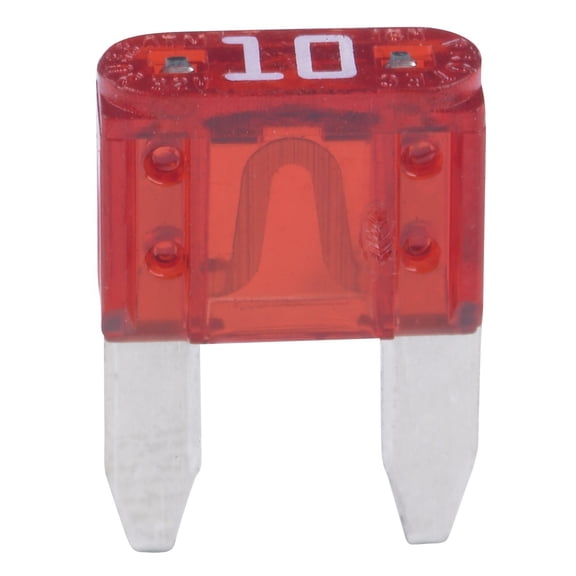 10 Amp Mini Fuse