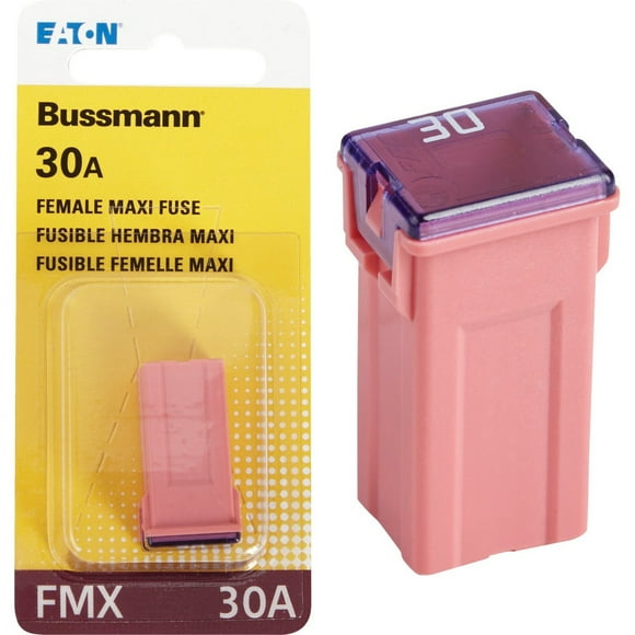 30 Amp Automotive Fuses
