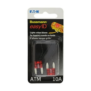 10 Amp Mini Fuse