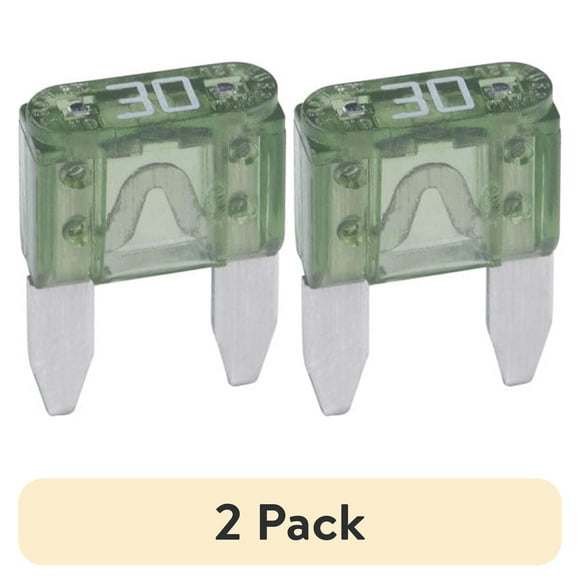 30 Amp Automotive Fuses