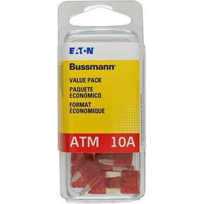 10 Amp Mini Fuse