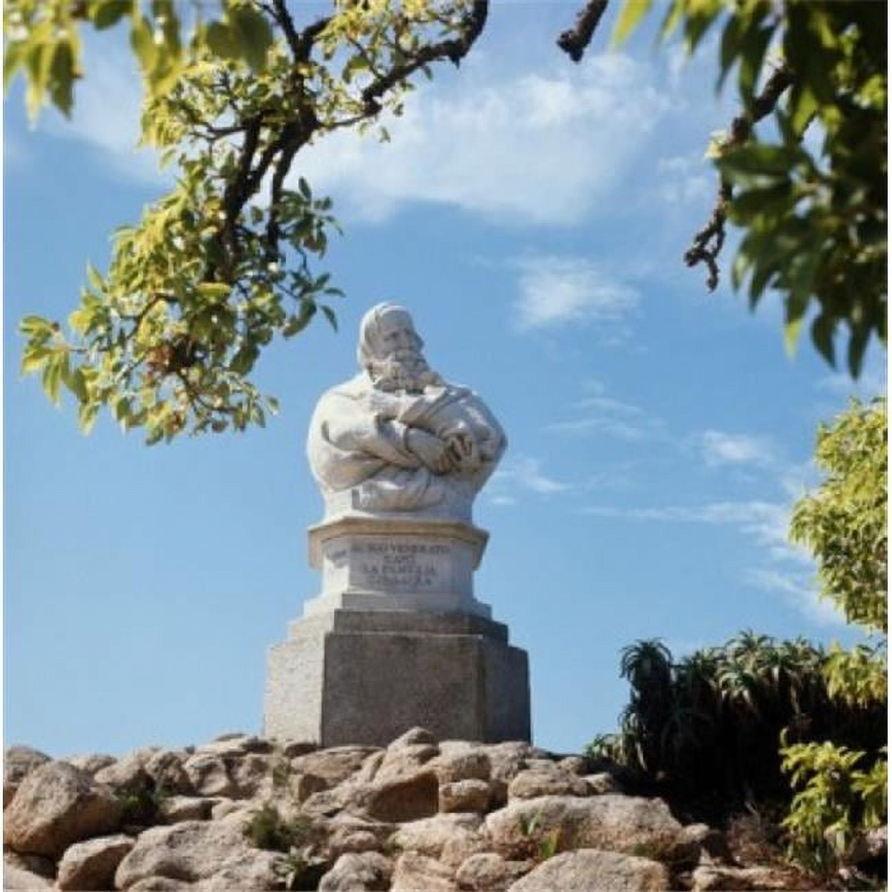 Bust of Garibaldi Artist Unknown Marble Poster Print - 18 x 24 in ...