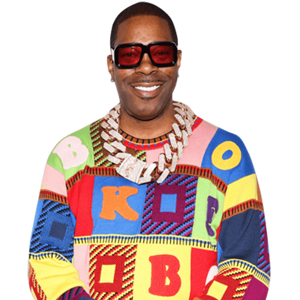 Busta Rhymes (Colourful) Half Body Buddy Cutout - Walmart.com