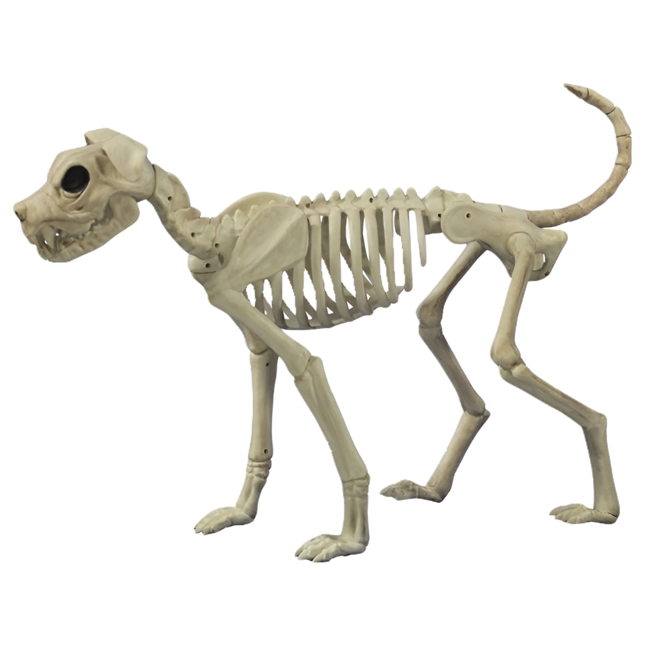Buster Bonez 28" Posable Skeleton Dog Halloween Decoration - Walmart.com