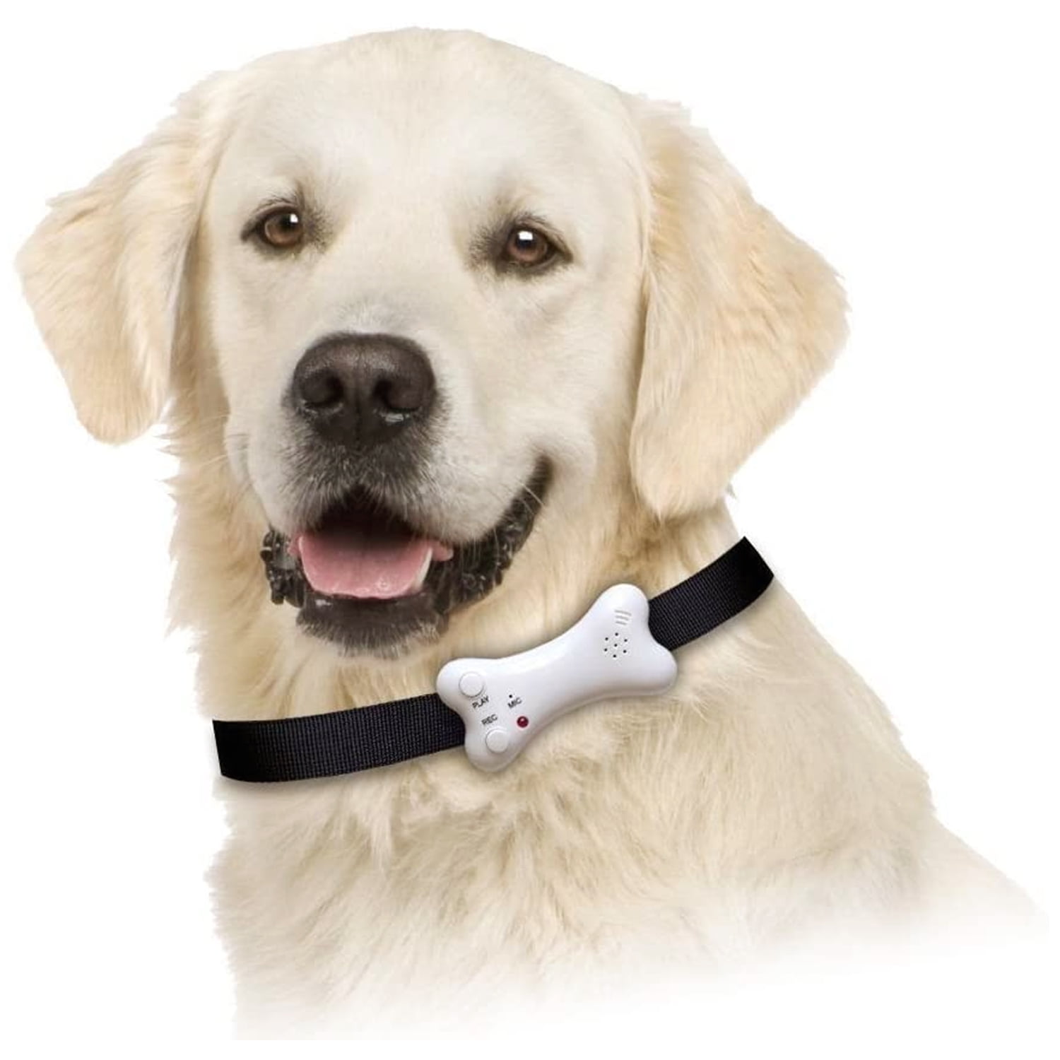 Buster's Bone Voice Recording Pet I.D. Dog's, Owner's Name And Contact ...