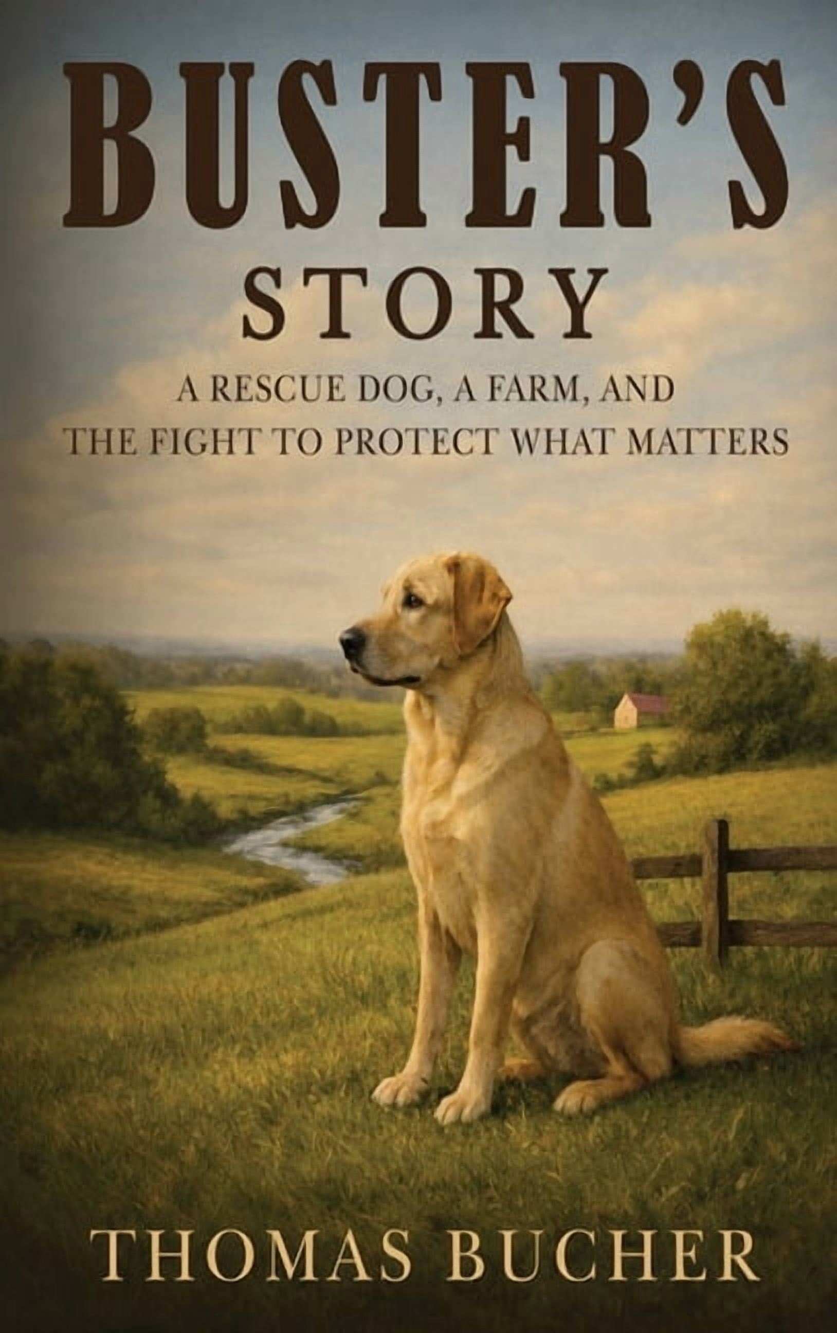 Buster's Story, (Hardcover) - Walmart.com