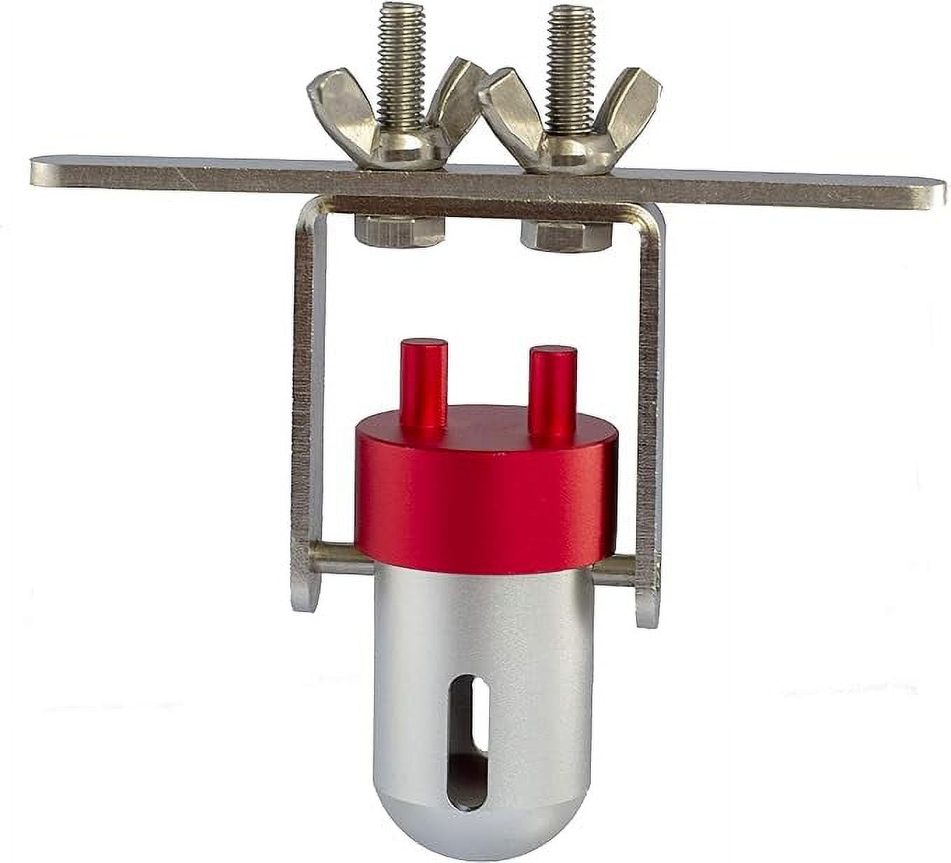 Busy Bird | Goodie Gadget Foraging Bird Toy - Spins on Axis with Peek-A ...