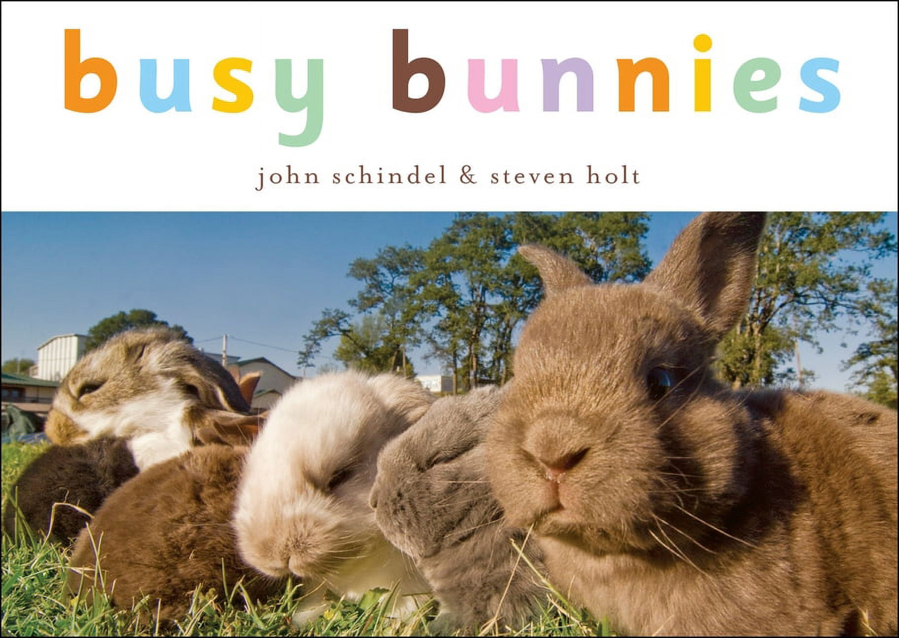 Busy Book: Busy Bunnies (Board book) - Walmart.com