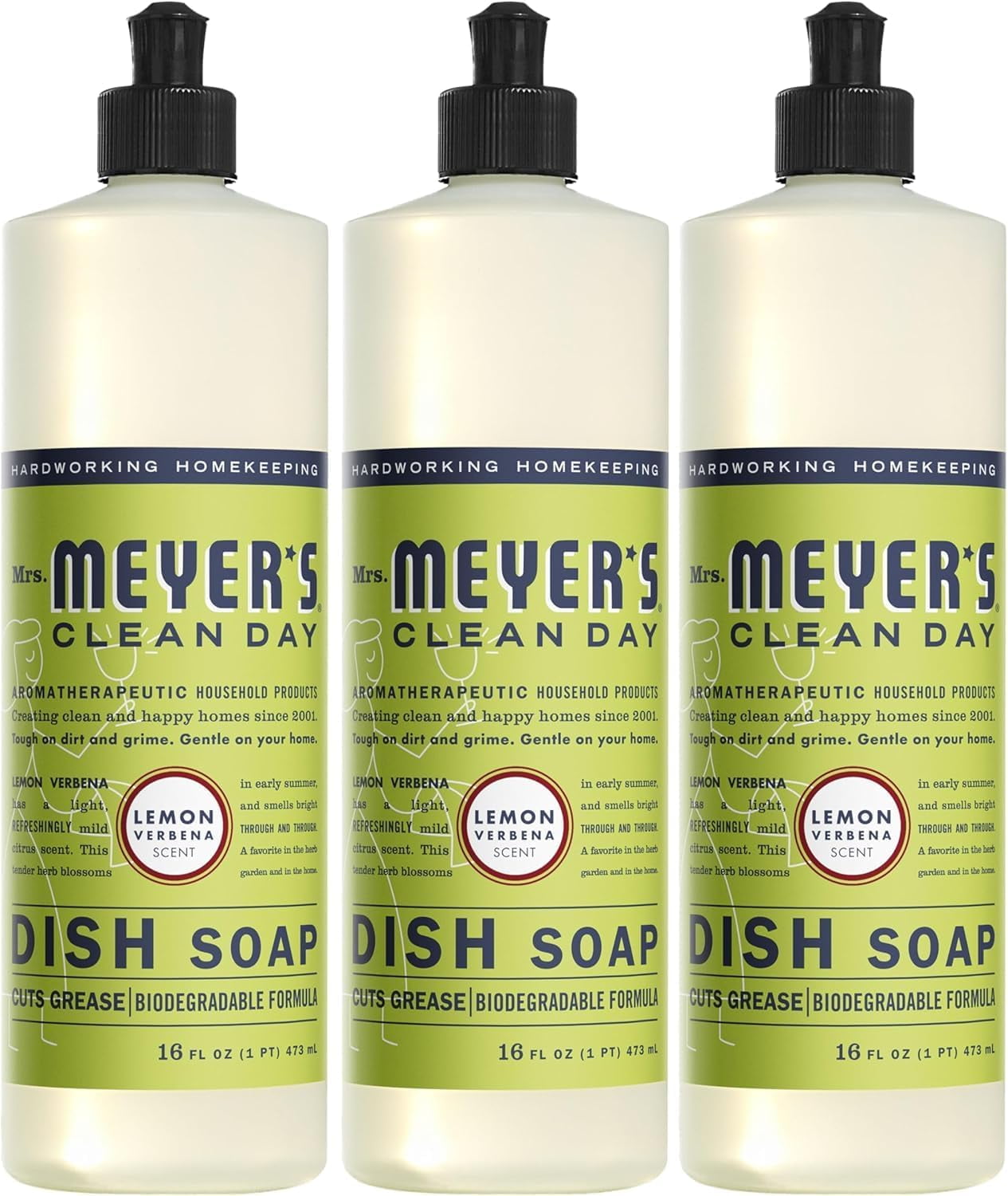 CLEAN DAY Liquid Dish Soap, Lemon Verbena, 16 fl. oz - Pack of 3 ...
