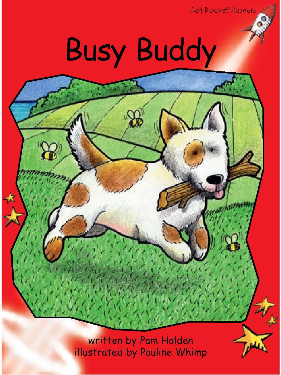 Busy Buddy - Walmart.com