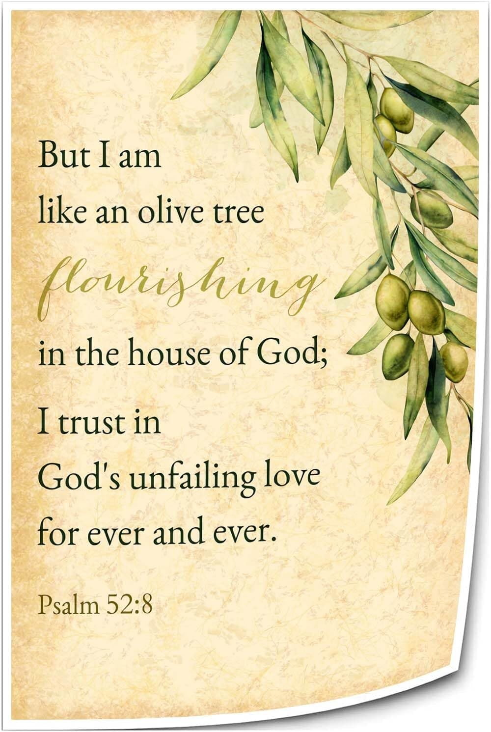 But I Am Like An Olive Tree Psalm 52 8 Bible Verse Wall Art Prints ...