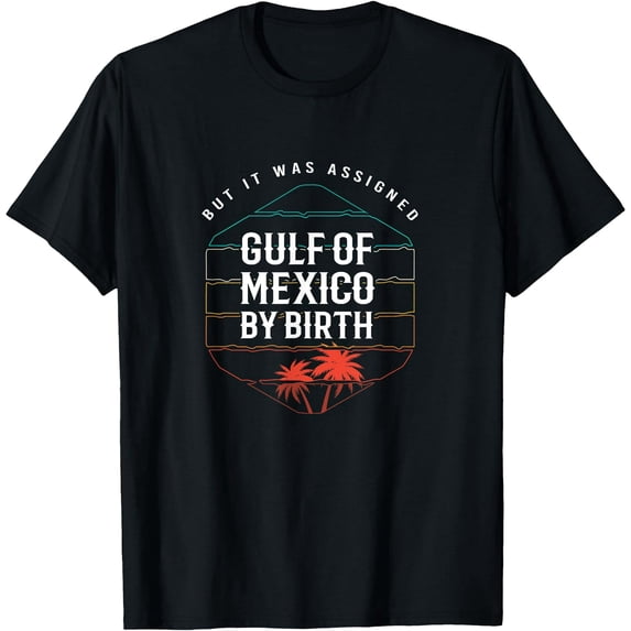 But It Was Assigned Gulf Of Mexico T-Shirt,Black tee - Walmart.com