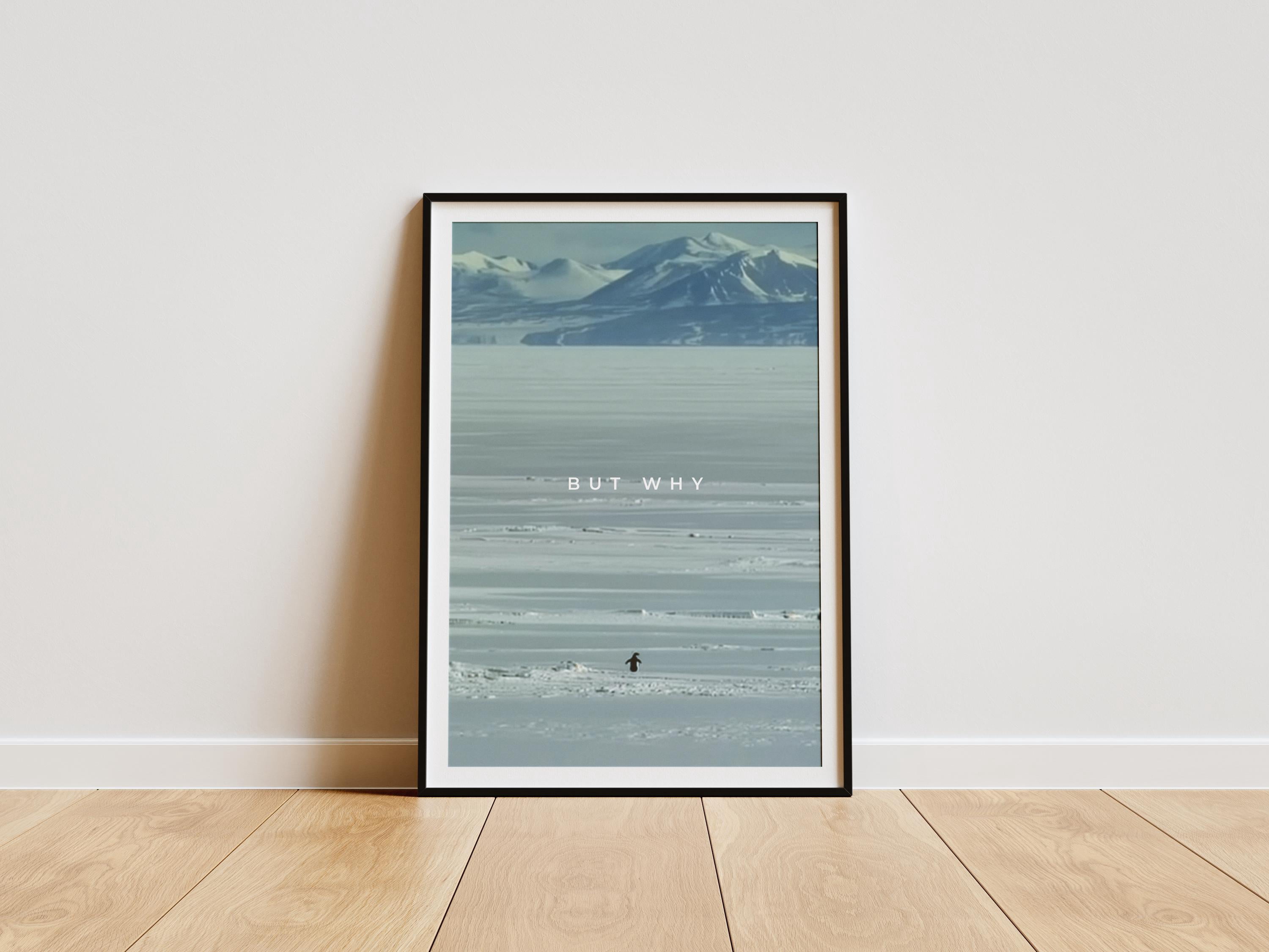 But Why Penguin Poster, Viral Motivational Penguin Wall Art, Nihilist ...