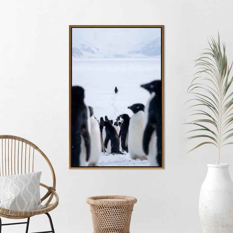 But Why Penguin Wall Art Surreal Winter Landscape Alone Animal Concept ...