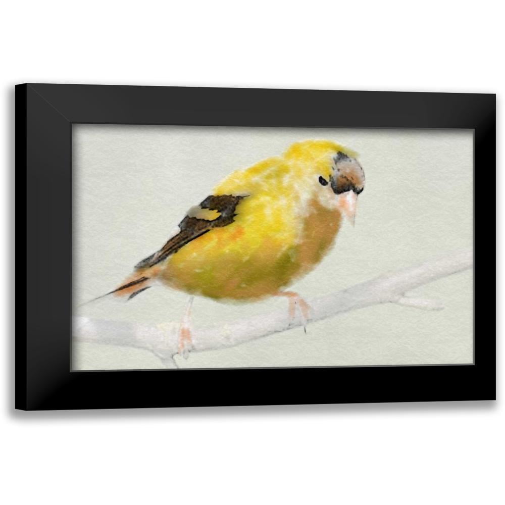 Butcher, Sarah 14x11 Black Modern Framed Museum Art Print Titled ...