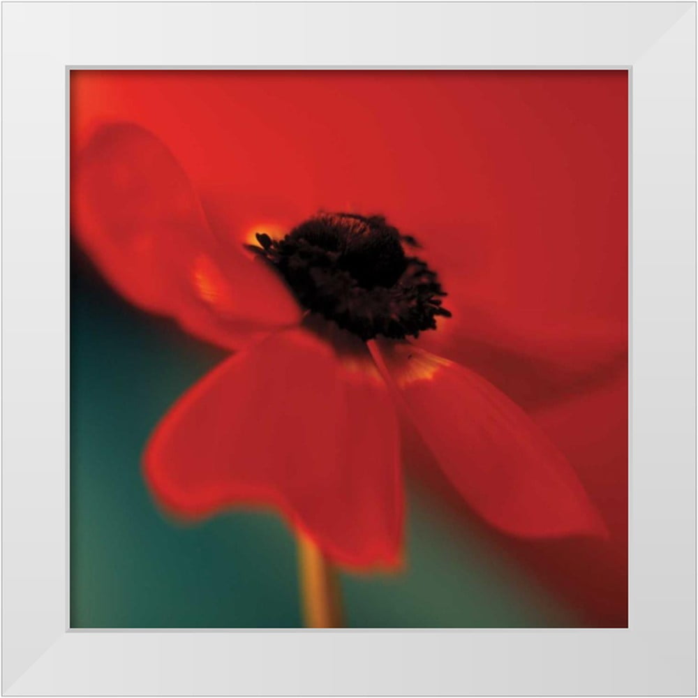 Butler, Jane-Ann 15x15 White Modern Wood Framed Museum Art Print Titled - Red on Turquoise ...